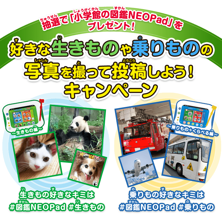 抽選で「小学館の図鑑NEOPad」をプレゼント！好きな生きものや乗りものの写真を撮って投稿しよう！キャンペーン 生きもの好きなキミは#図鑑 ...